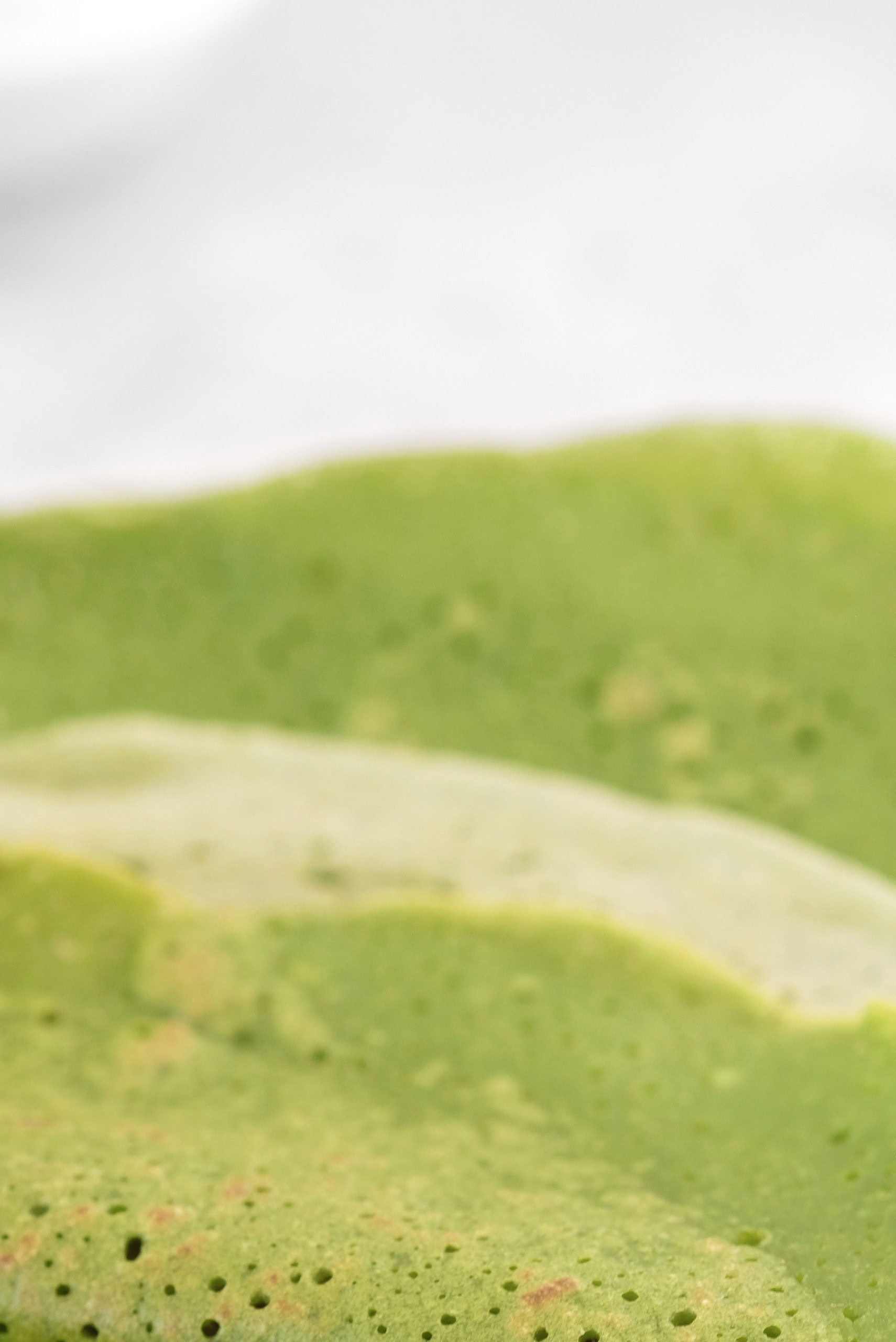 Crêpes Aux Épinards Vegan Et Sans Gluten | Recette Facile